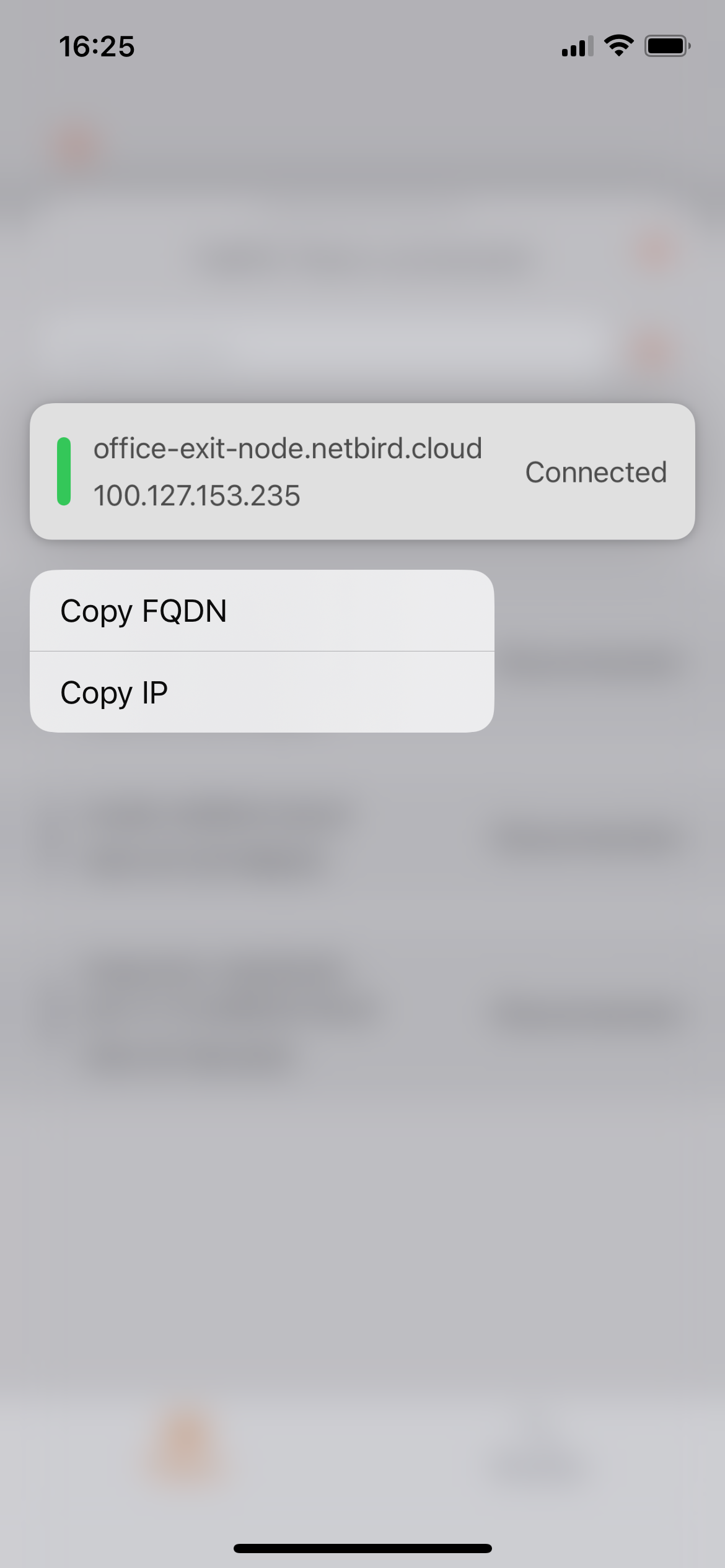 NetBird's December Newsletter